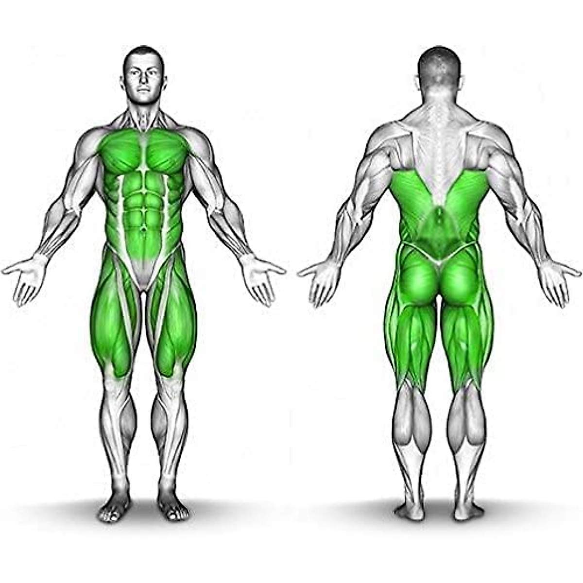 SleekMax, MPA Vasoburn Capsaicin Skin-Gel Pump Bottle, Targets Stubborn Areas, Capsaicin Cream, yohimbine Cream, bundle with a Motivational Wristband Bracelet to motivate and support you (7 oz.)