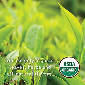 Allegro Tea Organic Ginger Peach Black Tea Bags, 20 Count