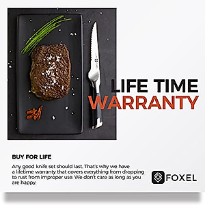 FOXEL Best VG10 Serrated Steak Knives Knife Set of 4, 8, or 12 - Rust Resistant Japanese High Carbon Steel Blade w/Full Tang Handle - Gift Box Set