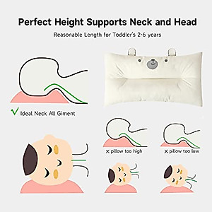 Choc chick Toddler Pillow,20X12inches Machine Washable Soft Hypoallergenic Kids Pillows,Child Cute Animal Perfect Toddler Pillows for Sleeping 2 Year Old (Bear)