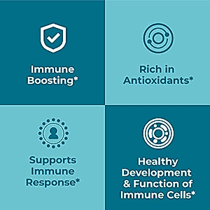 Hyland's Naturals Kids Organic Elderberry Plus Gummies, Organic Black Elderberry with ZINC and Vitamin C, Immune Support for Children, 48 Vegan Gummies (2 Pack)