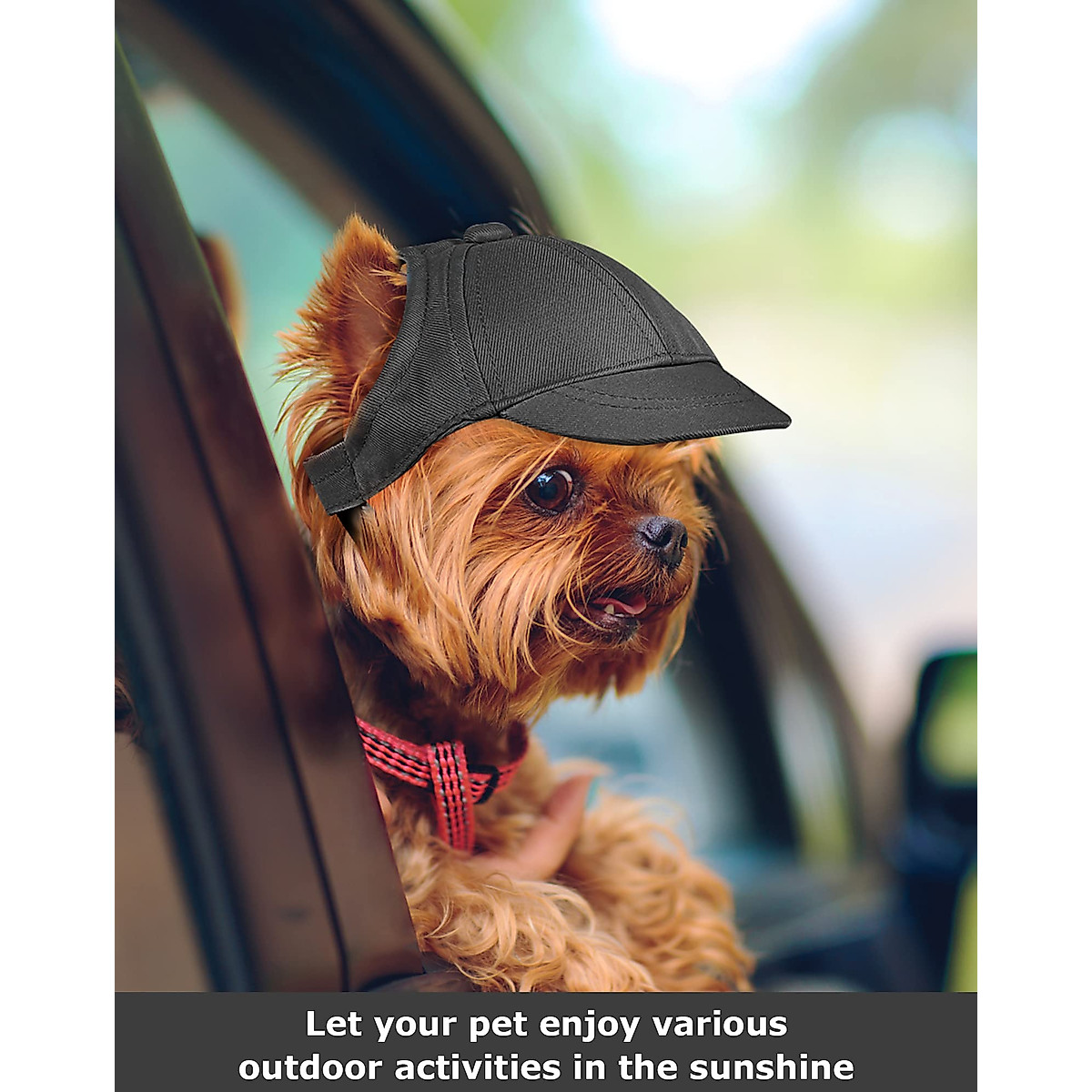 Dog Hat for Small Dogs and Medium Dogs Girl Boy Hats for Dogs Adjustable Dog Bucket Hat Puppy Sun Hat Spring Summer Pet Baseball Cap Doggy Visor (Black, Large(15lbs+))