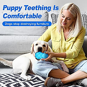 ADDPETS Puppy Toys Frozen 3 Pack for Teething Puppies,Puppy Chew Toys for Teething Relieve Teething Pain Itching, Fillable Puppy Teething Toys,Floating Puppy Chew Toys,Teething Comfort in Summer