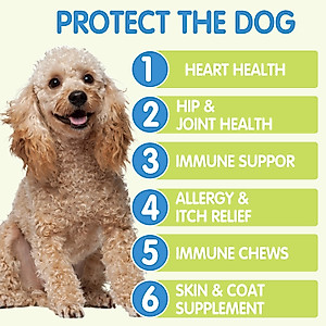 Allergy Relief Dog Chews - Allergy Relief Dog Treats w/Omega 3 + Pumpkin + Enzymes - Itchy Skin Relief for Dogs - Anti Itch Support & Hot Spots - Skin & Coat Health for Dogs