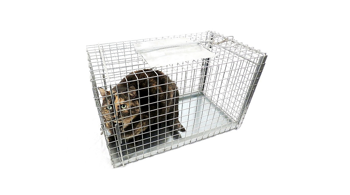 Tomahawk 306TX Cat Capture Cage – Safe & Easy Handling