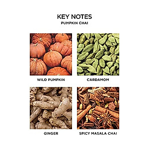 NEST Fragrances 3-Wick Candle- Pumpkin Chai , 21.1 oz - NEST03PC002