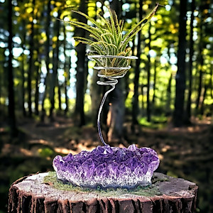 Air Plant Crystal Holder (XL) - Amethyst Airplant, Air Plants Crystals, Crystal Air Plant Holder, Amethyst Air Plant In Crystals, Air Plant Stone, Air Plant Pot, Air Plants in Crystals, TheCrystalCafe