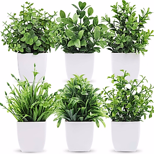 Der Rose 6 Pack Fake Plants Mini Artificial Plants for Home Office Farmhouse Bathroom Shelf Decor Indoor