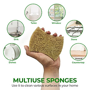 AIRNEX Biodegradable Natural Dish Sponges Kitchen Pack of 12 - Coconut and Cellulose Sponges for Dishes and Surfaces - Eco Friendly Non-Scratch Heavy Duty Dish Scrubber Sponges Bulk for Household