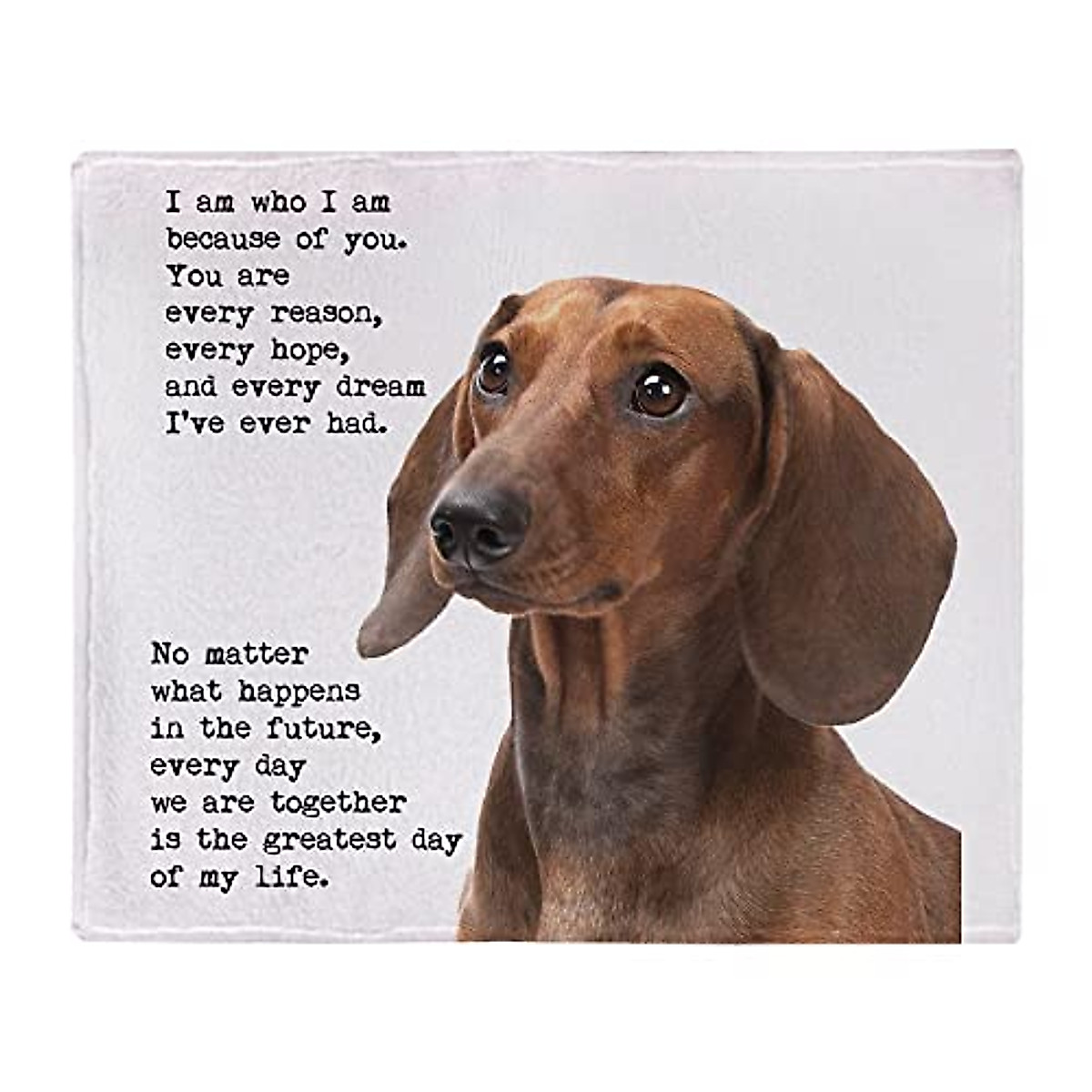 CafePress Dachshund Throw Blanket Super Soft Fleece Plush Throw Blanket, 60"x50"