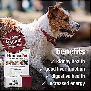 HomeoPet Liver Rescue, Natural Liver Support for Pets, 15 Milliliters