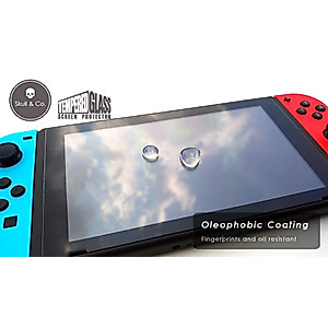 Skull & Co. Tempered Glass Screen Protector for Nintendo Switch (2-PACK)
