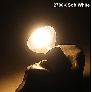 KarlunKoy Half Chrome Light Bulbs,Half Black Tipped Dimmable 6W (Equivalent 60Watt) LED Ediosn Light Bulbs,Soft White 2700K,A60/A19 Shape Anti-Glare,Decorative Mirror,CRI 90+ E26 Base (Pack of 2)