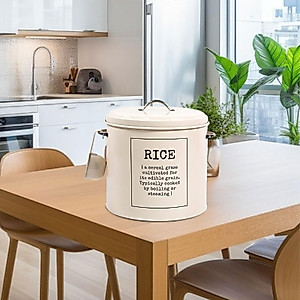 Stainless Steel Rice Storage Box with Lid and Spoon, Large Food Storage Containers, Great Rice Canisters Sets, Kitchen Countertop Organizer Jar for Rice/Flour/Soybean/Grain, Style B