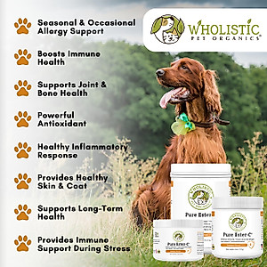 Wholistic Pet Organics Pure Ester-C Powder for Dogs & Cats - 1 Lb - Vitamin C Supplement for Immune Support, Skin & Coat Health, & Allergy Relief - Dog Vitamin Powder for Itchy Skin & Homemade Food