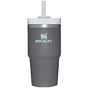 Stanley Quencher H2.0 FlowState Stainless Steel Vacuum Insulated Tumbler with Lid and Straw for Water, Iced Tea or Coffee, Smoothie and More, Charcoal, 20 oz