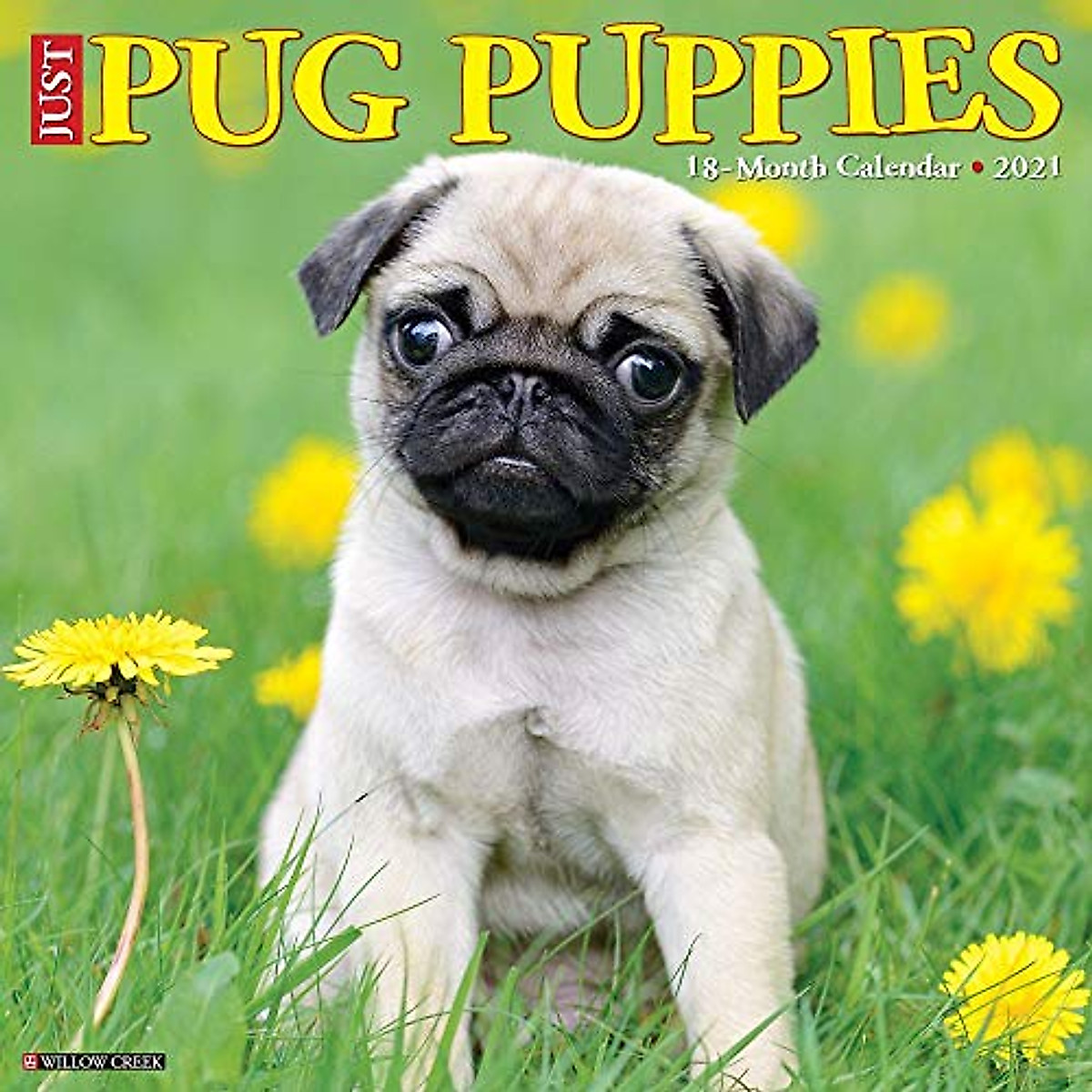 Just Pug Puppies 2021 Wall Calendar (Dog Breed Calendar)
