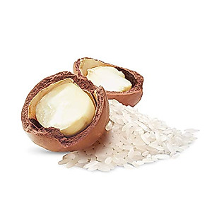 Dove Whipped Macadamia and Rice Milk Body Cream 10 oz