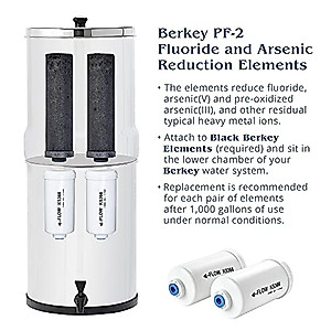 Royal Berkey Gravity-Fed Water Filter System 3.25 Gallon with 2 Black Berkey Elements, 2 Berkey PF-2 Fluoride and Arsenic Reduction Elements