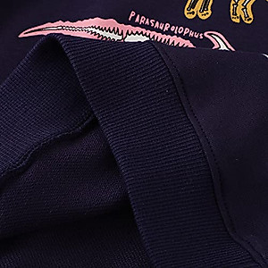 Toddler Boy Dinosaur Halloween Sweatshirts Dino Skeleton Glowing Shirts Long Sleeve T-Rex Bones Graphic Pullover Tops for Kids 3t/8154