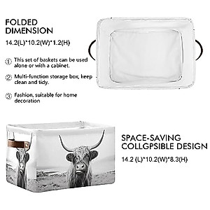 xigua Scottish Highland Cow Print Storage Bin Collapsible Canvas Storage Basket Closet Organizer with Handles for Bedroom Nursery Shelves Laundry Room, 1 Pack