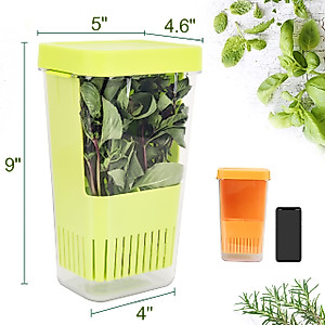 LUVCOSY Fresh Herb Keeper for Refrigerator, Clear BPA-Free Herb Saver, Storage Container for Cilantro, Parsley, Thyme, Mint & Asparagus, Preserver Keeps Fresh Herbs for 3 Times Longer, Green & Orange
