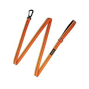Mighty Paw Dog Leash - Soft Padded Handle - D-Ring and Pet Leash Clip - Carabiner Clip - Weatherproof with Reflective Stitching - 6 Foot Long Dog Leash for All Dog Breeds - Dog Walking Leash (Orange)