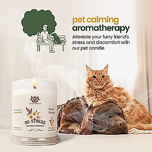 Gerrard Larriett - Deodorizing Soy Candles for Pets, Scented Candles for Removing Pet/Household Odors, Lasts up to 40 Hours, White Candles for Home Scented with De-Stress Lavender & Chamomile Fragrance, 10 oz