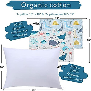 LIHABILAL Toddler Pillow,One 13X18 Soft Toddler Pillow with Two 100% Organic Cotton Pillowcases,Toddler Pillow for Sleeping for Boys and Girls Perfect for Travel, School, Nap - Crib Pillow