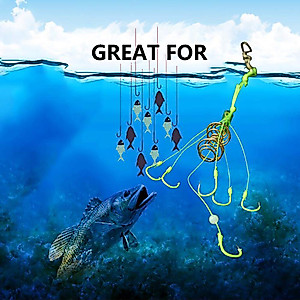 Dyxssm Carp Fishing Feeders Bait Fishing Hooks with Fishing Spring Carp Feeder (Pack of 4) (Green, 10#)