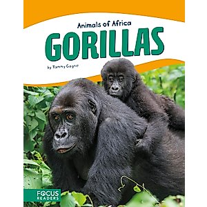 Gorillas (Animals of Africa (Paperback Set of 10))