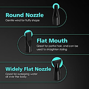 WINNIE HOME Dog Blow Dryer, 3.2HP High Velocity Professional Pet Grooming Dryer, Adjustable Speed and Temperature Control Pet Blower Dryer with 3 Different Nozzles(Black)