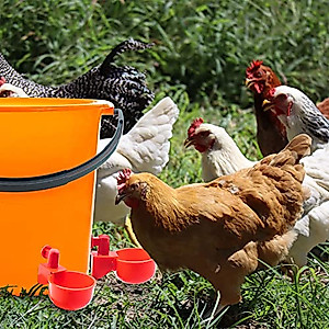 UCandy Pack 10 Chicken Waterer Cups,Chicken Feeder Cup for Chicken Duck Turkey Rabbit,3/8 Inch Thread Automatic Filling,Solution for Poultry Watering (10) (10)