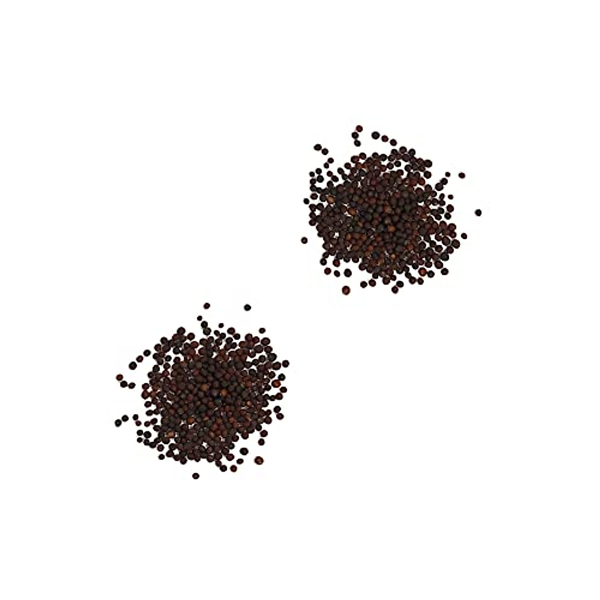 Organic Lacinato Kale Seeds - 2 Seed Packets! - Over 500 Open Pollinated Heirloom Non-GMO USDA Organic Seeds