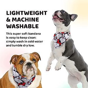 Peanuts for Pets Snoopy Dog Bandana | Soft Dog Apparel & Accessories, One Size Fits All | Peanuts Comic Strip Dog Bandana for All Dogs, Big and Small Dog Accessories, Red