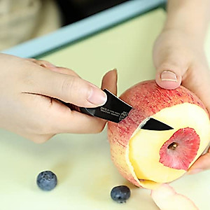 TUO Bird Beak Paring Knife 2.5" - HC Japanese AUS-8 Stainless Steel - Ergonomic Pakkawood Handle with Sheath & Gift Box - Small Tourne Knife Razor Sharp Rust Resistant - Dark Knight Series