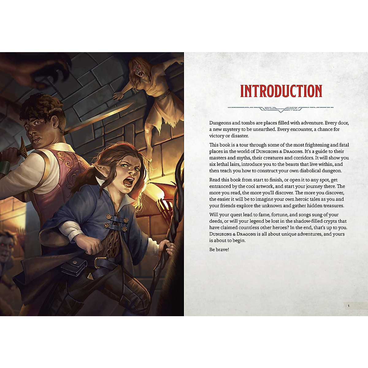 Dungeons & Tombs (Dungeons & Dragons): A Young Adventurer's Guide (Dungeons & Dragons Young Adventurer's Guides)