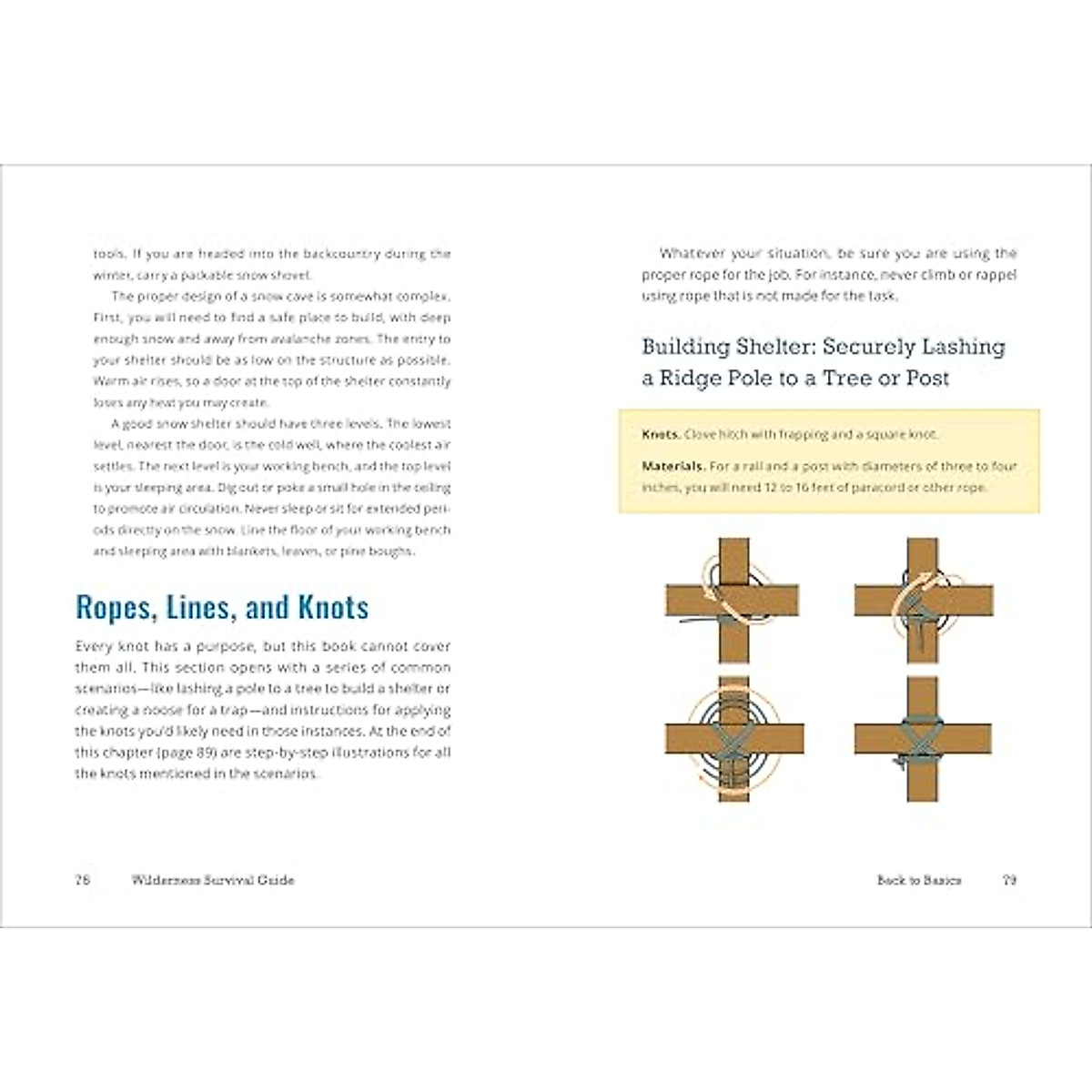 Wilderness Survival Guide: Practical Skills for the Outdoor Adventurer