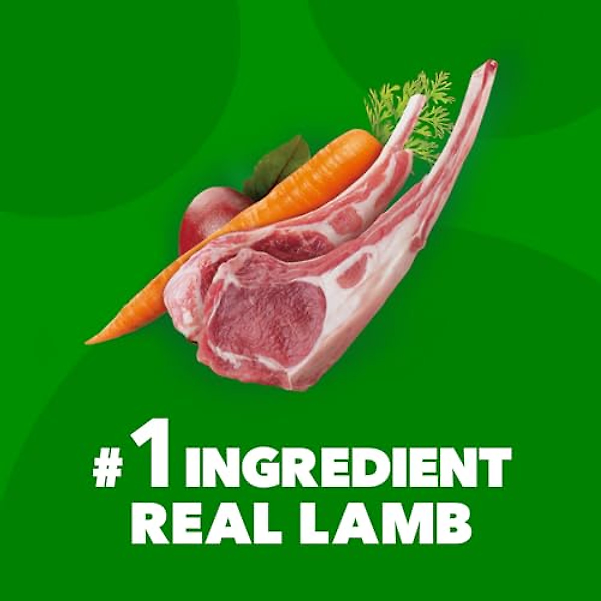 IAMS Minichunks Adult Dry Dog Food Lamb & Rice Recipe Dog Kibble, 30 lb. Bag