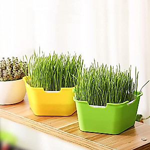 Cedilis 8 Pack Seed Sprouter Tray with Cover, Plastic Seed Germination Tray, BPA Free, Soil-Free, Great for Garden Home