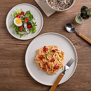 AmorArc Stoneware Dinner Plates Set of 4, 10.5 Inch Reactive Matte Glaze Ceramic Plates Set, Modern Dinnerware Dish set for Kitchen, Microwave, Dishwasher Safe, Scratch Resistant - Matte White