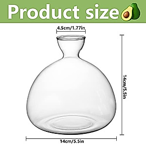 moonoom Avocado Tree Growing Kit,Avocado Seed Starter Vase,Glass Plant Pot with Avocado Stickers,Plant Indoor Grow Gardening Gifts