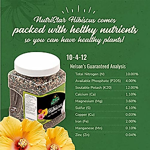 Nelson Plant Food - NutriStar Hibiscus Fertilizer - Outdoor and Indoor Plant Food - Tropical Hibiscus Fertilizer For All Flowering Tropical Plants