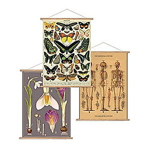 Cavallini Vintage Poster Kit (Vertical)