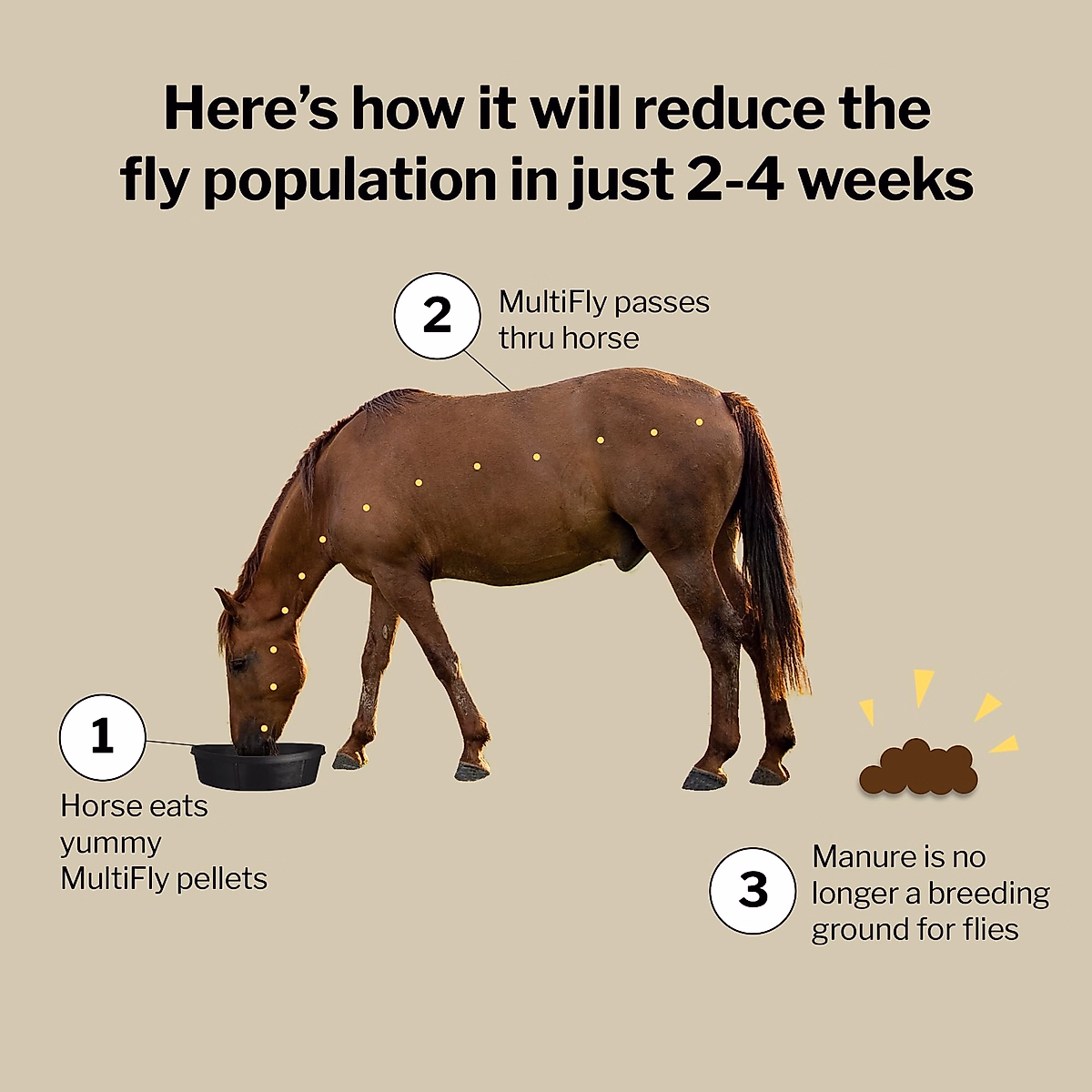 Formula 707 MultiFly Feed-Thru Fly Control Pellets for Horses - Palatable & Safe Fly Population Reduction (5 lb Bag - 91 Servings)