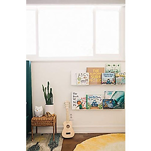 Peekaboo Clear Acrylic Shelves (24") - Set of 2