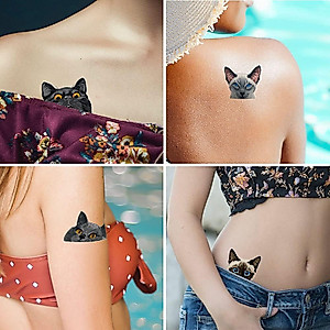 WIRESTER Temporary Tattoo Stickers for Girls Boys Kids Adults, Fake Tattoos on Face Hand Neck Wrist Party Favor Body Art, Tattoo Sheet 6 x 7.87 inch - Cat Designs (Tuxedo, Tabby Kitten, Ragdoll Cat)