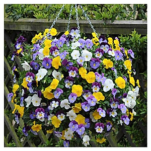 Ultimate Hanging Baskets - Strawberry, Tomato, Flower, and Herb Outdoor Planters - Use Garden Pots For Growing Plants Outside On A Deck, Fence, or Balcony (2, Mocha)