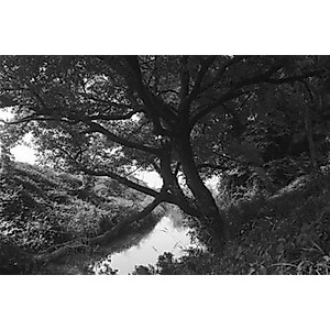 Hoya 67mm Infrared R72 Filter (Y1IR72067)