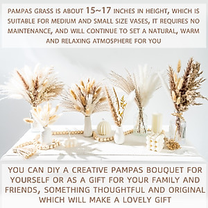 70PCS Natural Dried Pampas Grass Boho Home Decor Bouquet Phragmites Dried Flowers Bouquet for Wedding Floral Arrangements Home Decorations (70PCS)